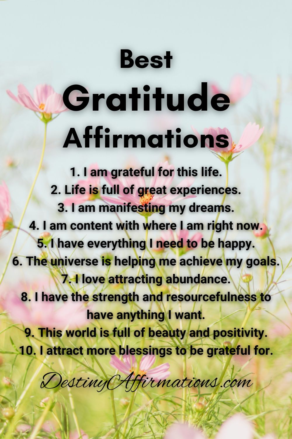 149 Gratitude Affirmations for Manifesting and Abundance – Destiny ...