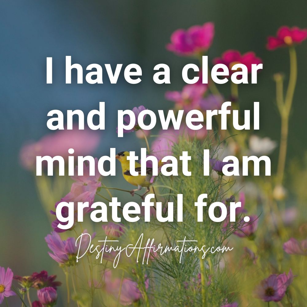 26 Affirmations for Overthinking to Quiet Your Mind – Destiny Affirmations